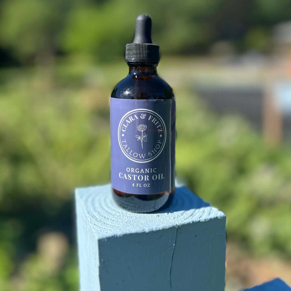 Organic Castor Oil – Young and Rad Co.