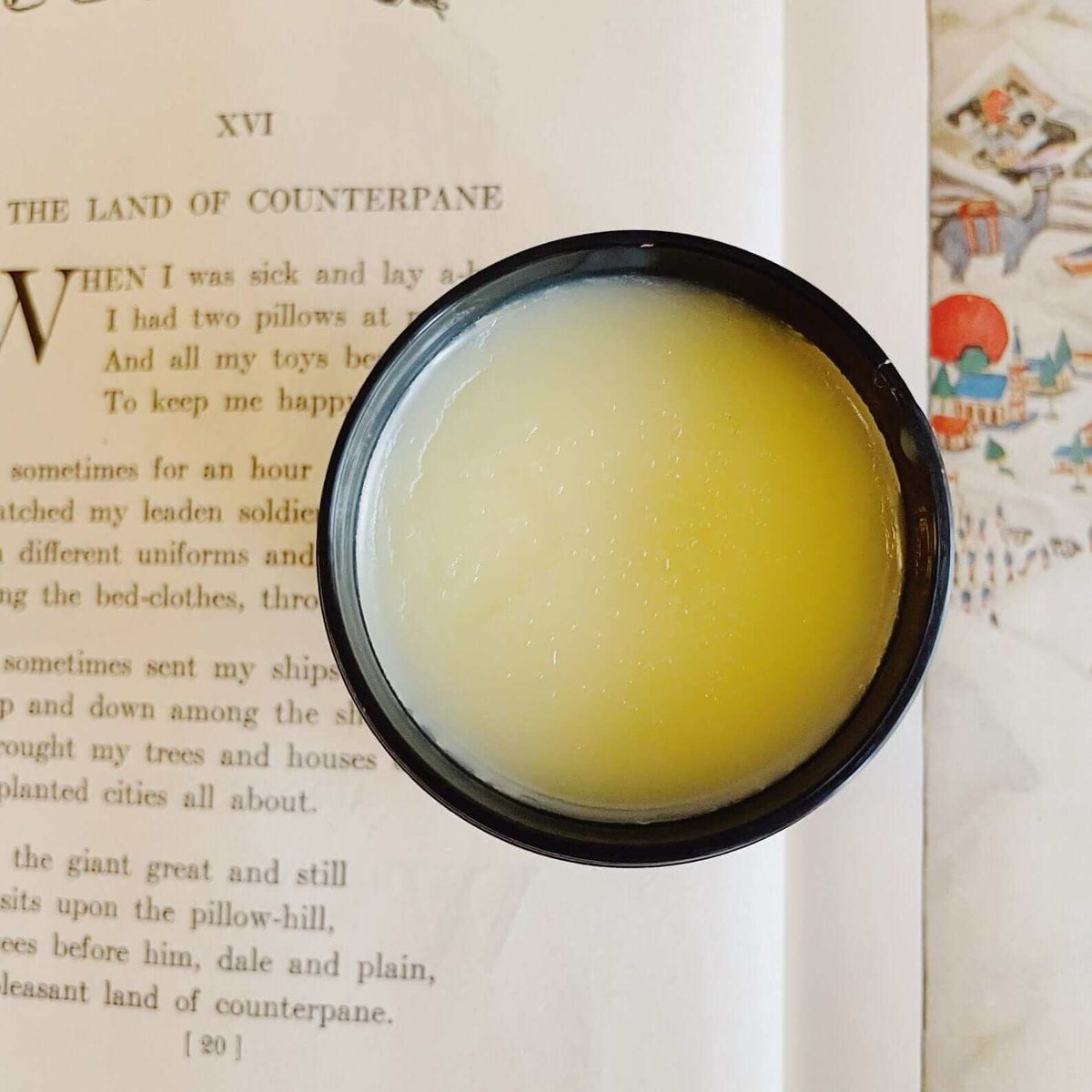 Counterpane Tallow Night Cream – Young and Rad Co.